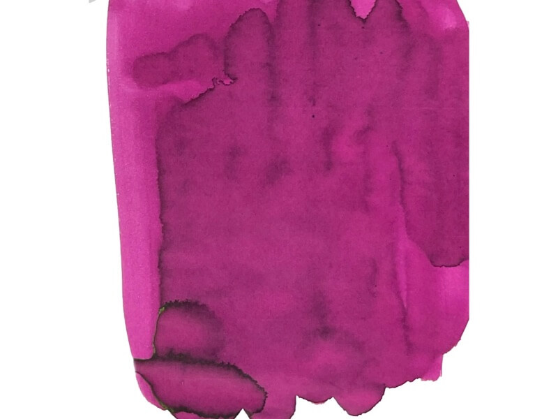 VanD Anna’s Hummingbird Face - penablers.ca